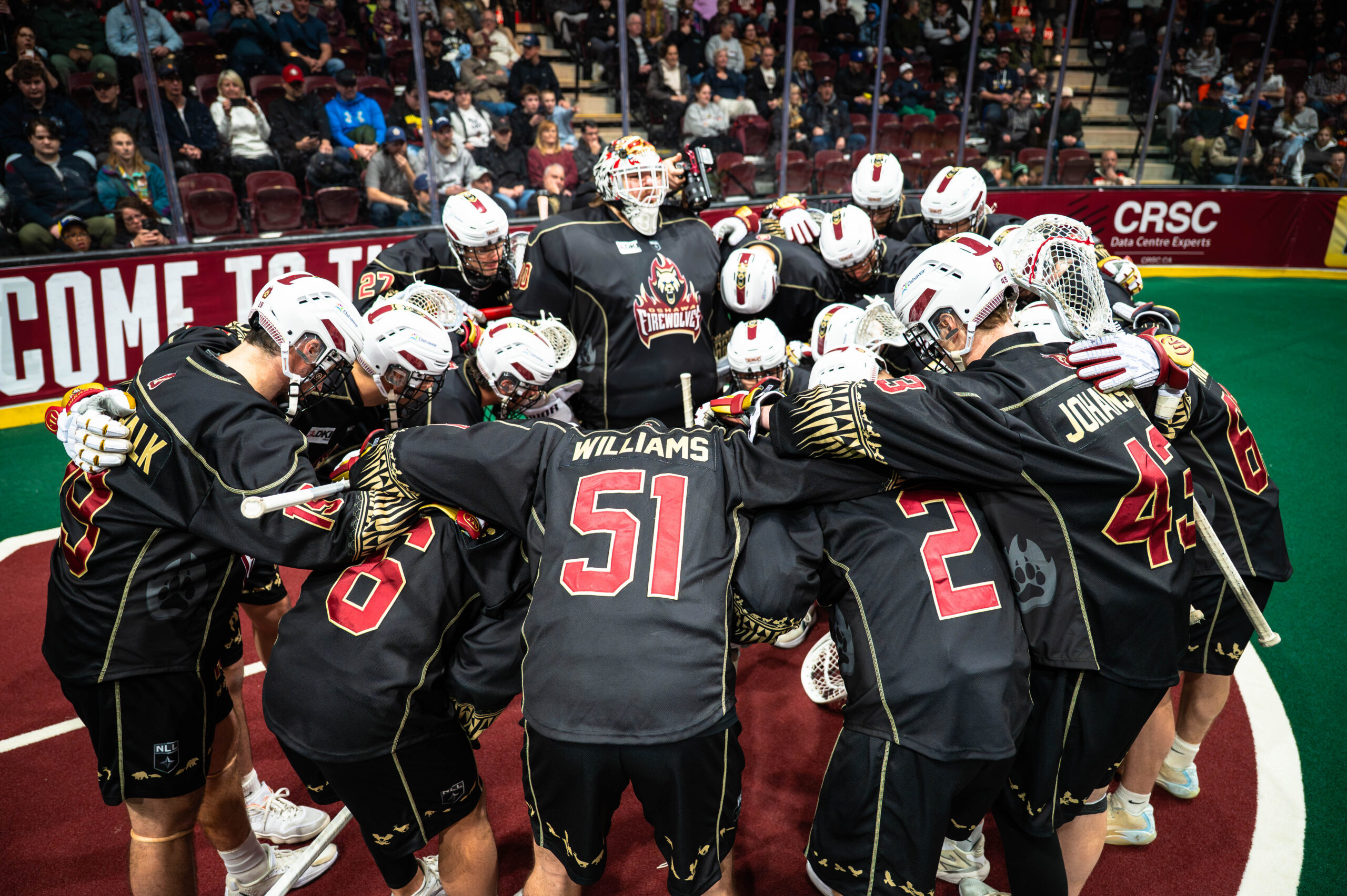 GAME PREVIEW: FIREWOLVES WELCOME WINGS FOR REMATCH ON ALPHIE'S BIRTHDAY ...